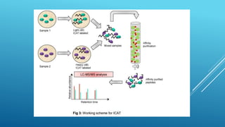 ICAT Technique in Proteomics | PPTX