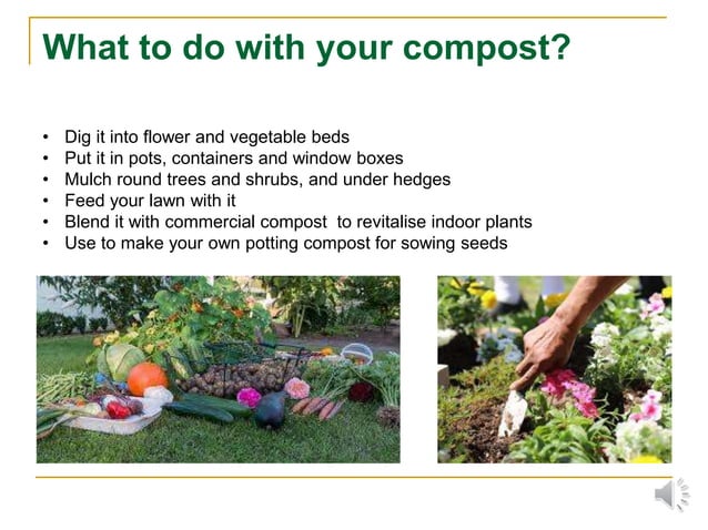 An introduction to home composting | PPTX | Gardening | Home & Garden