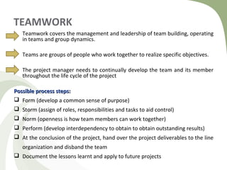 ICB Competence, Project Standards | PPT