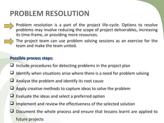 ICB Competence, Project Standards | PPT