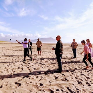 Idealist Consulting | PDF