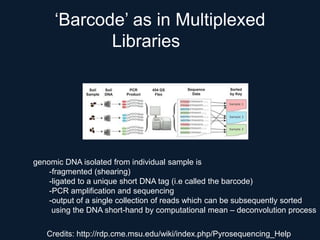 Modeling a Microbial Community and Biodiversity Assay with OBI and PCO OBO Foundry Ontologies ...