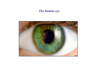 Icbv lecture-notes-12-sensing-2-the-human-eye-1 spp | PDF | Eye and ...