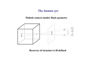 Icbv lecture-notes-12-sensing-2-the-human-eye-1 spp | PDF | Eye and ...
