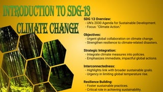 Sdg 13 | PDF
