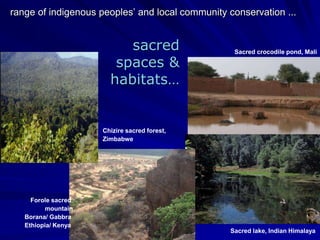Indigenous & community conservation | PPTX