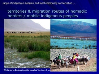 Indigenous & community conservation | PPTX