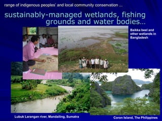 Indigenous & community conservation | PPTX