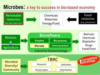 Thailand Bioresource Research Center (TBRC): Network Integration of ...
