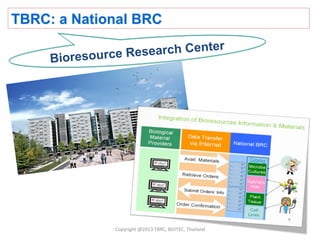 Thailand Bioresource Research Center (TBRC): Network Integration of ...