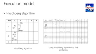 Random4 and hirshberg algorithm | PPT