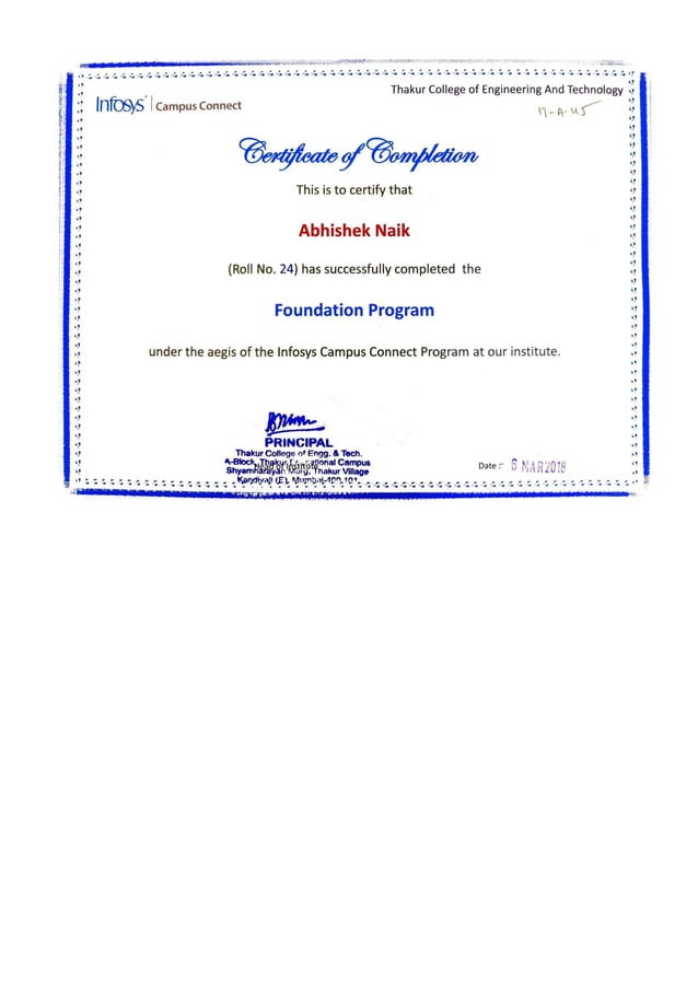 Infosys Campus Connect Foundation Program | PDF
