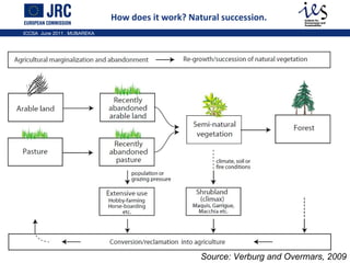 A High Resolution Land use/cover Modelling Framework for Europe ...