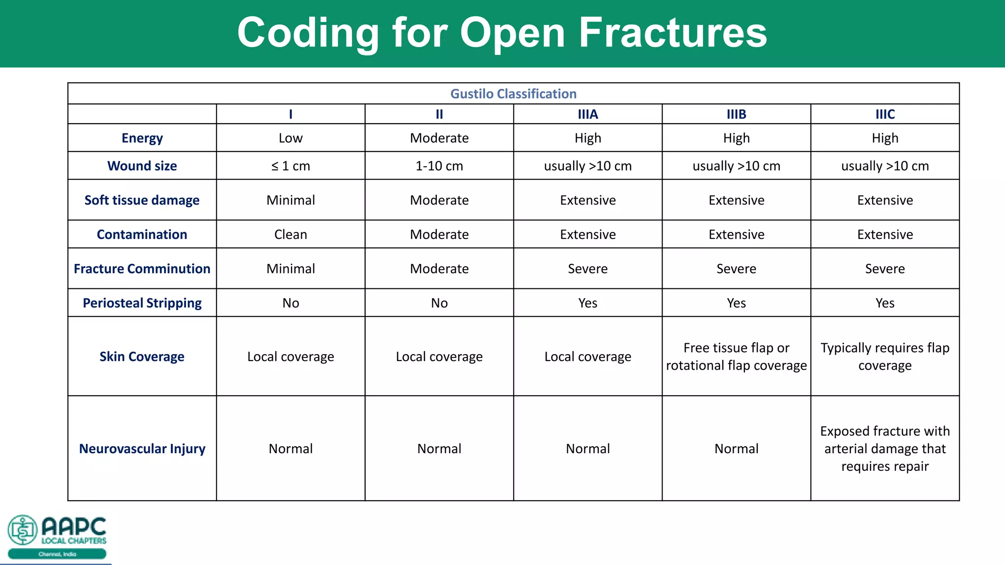 ICD-10-CM Chapter 19.pdf