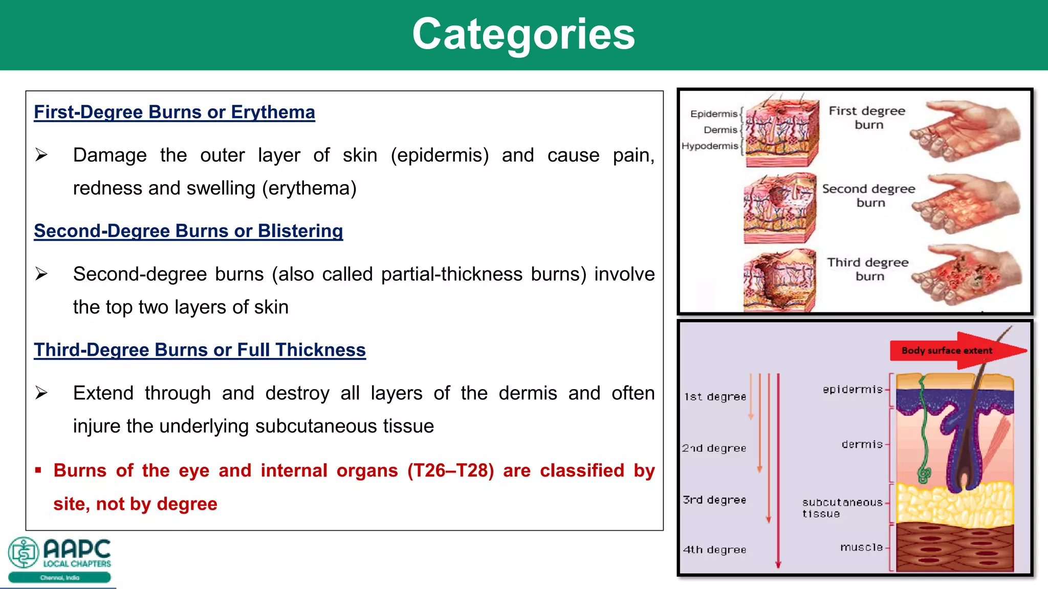 ICD-10-CM Chapter 19.pdf