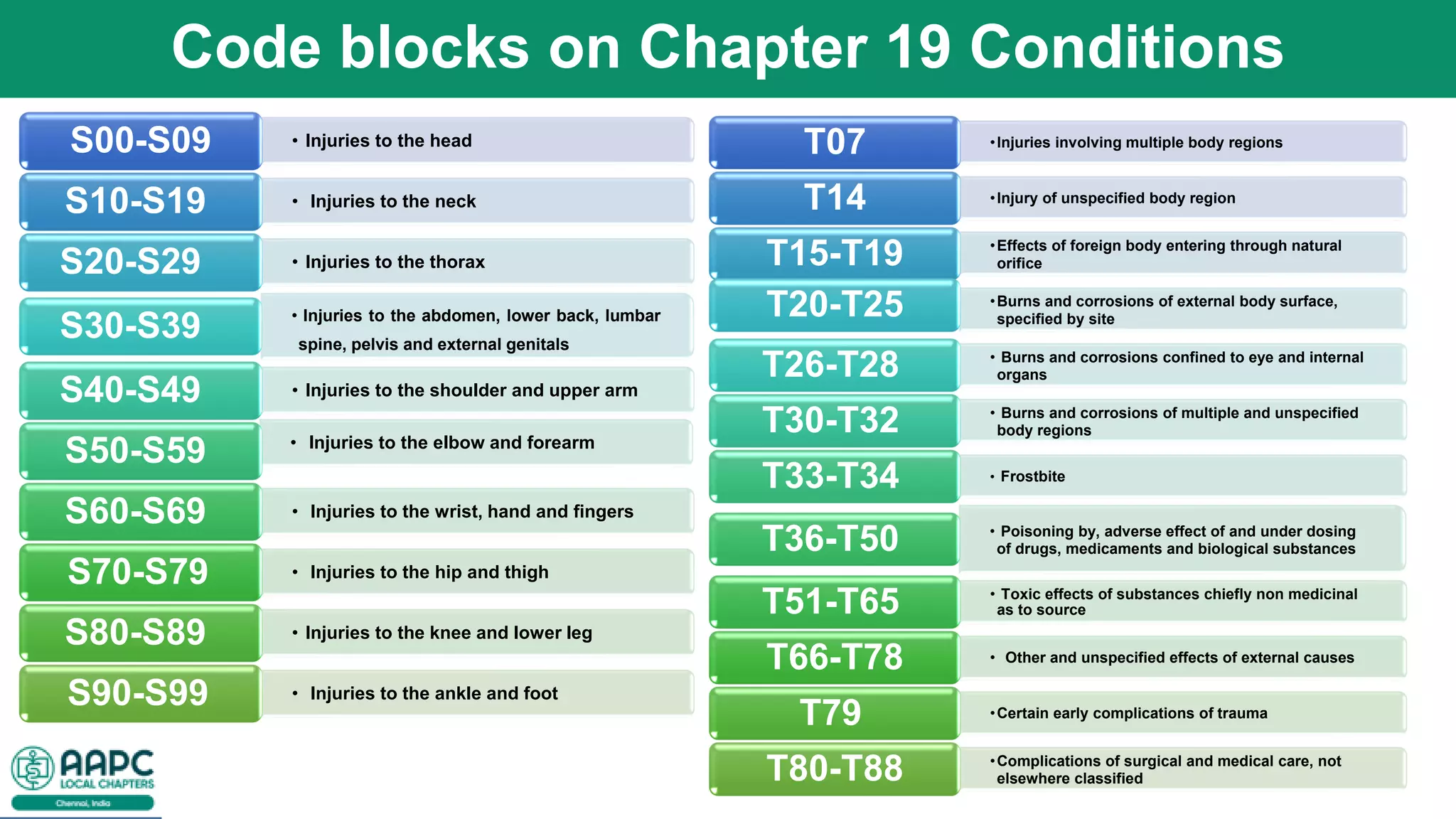 ICD-10-CM Chapter 19.pdf