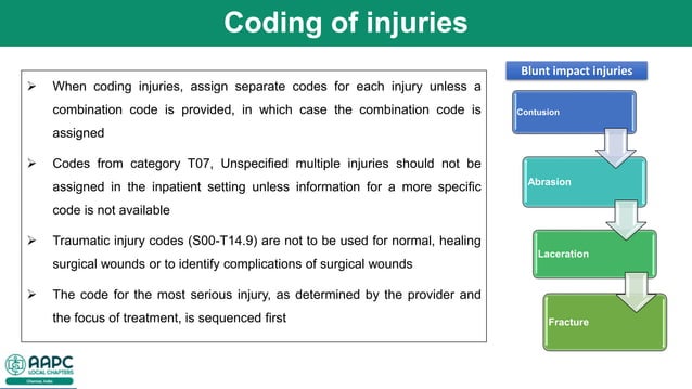 ICD-10-CM Chapter 19.pdf | Death, Injury, or Military Conflict ...