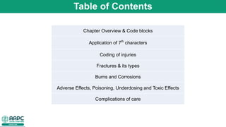 ICD-10-CM Chapter 19.pdf