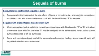 ICD-10-CM Chapter 19.pdf