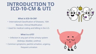 Top ICD-10 Codes You Need to Know for Urinary Tract Infections | PPT