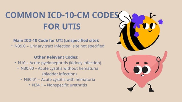 Top ICD-10 Codes You Need to Know for Urinary Tract Infections | PPT