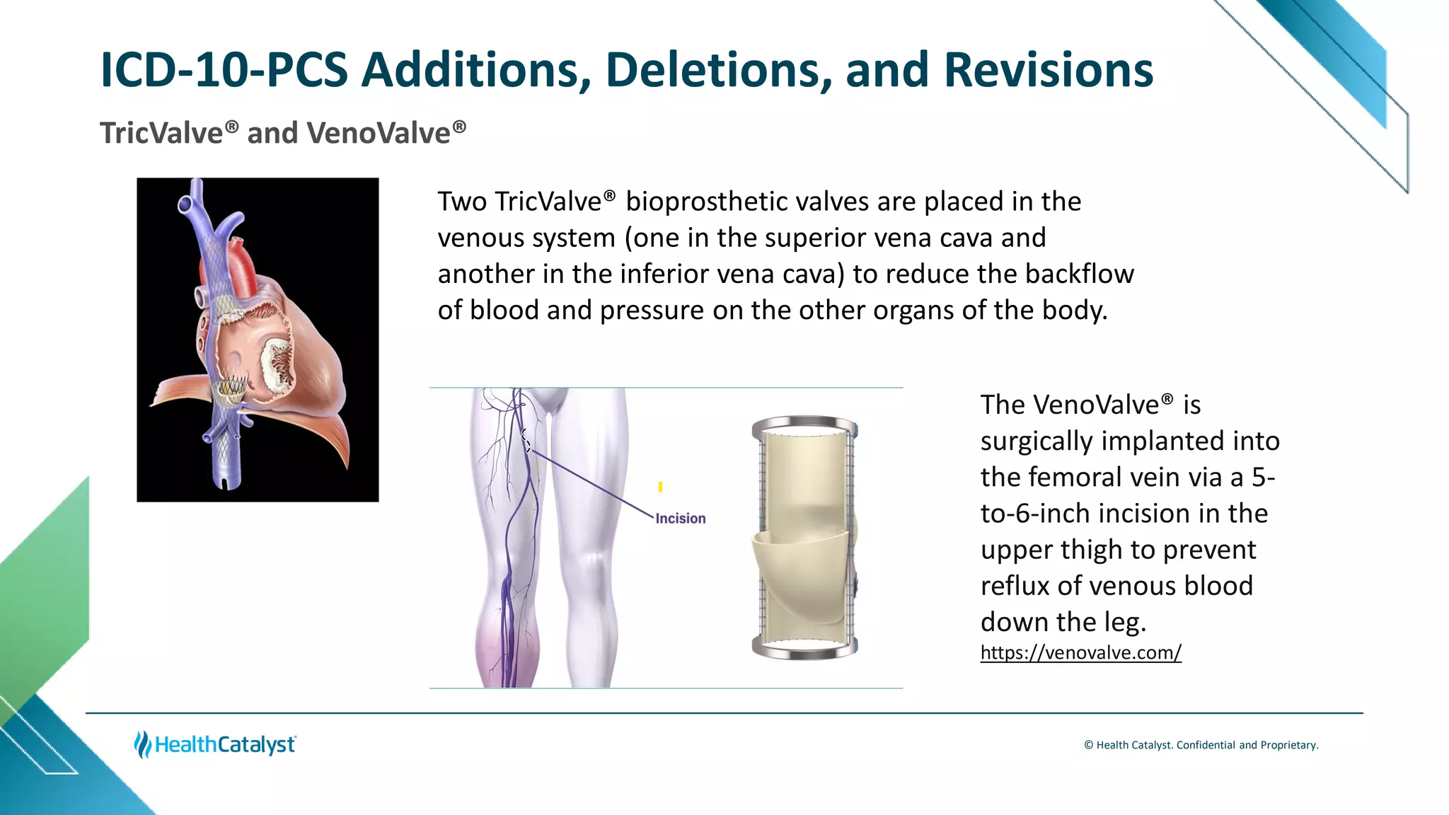 Insight into the 2024 ICD-10 PCS Updates - Part 2 | PDF