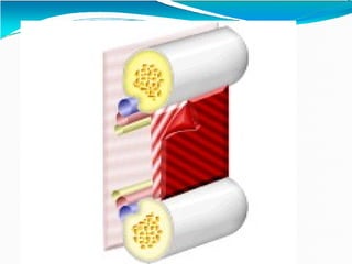Intercostal Drainage tube management.pptx. | PPTX