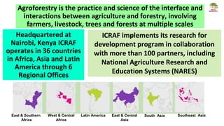 Agroforestry for Development of Dry Areas | PPTX