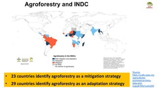 Agroforestry for Development of Dry Areas | PPTX