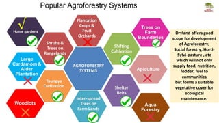 Agroforestry for Development of Dry Areas | PPTX