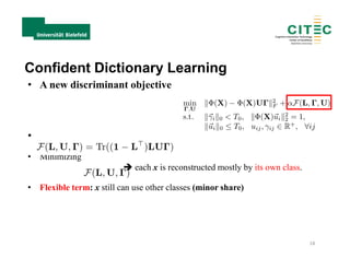 Confident Kernel Sparse Coding and Dictionary Learning | PDF