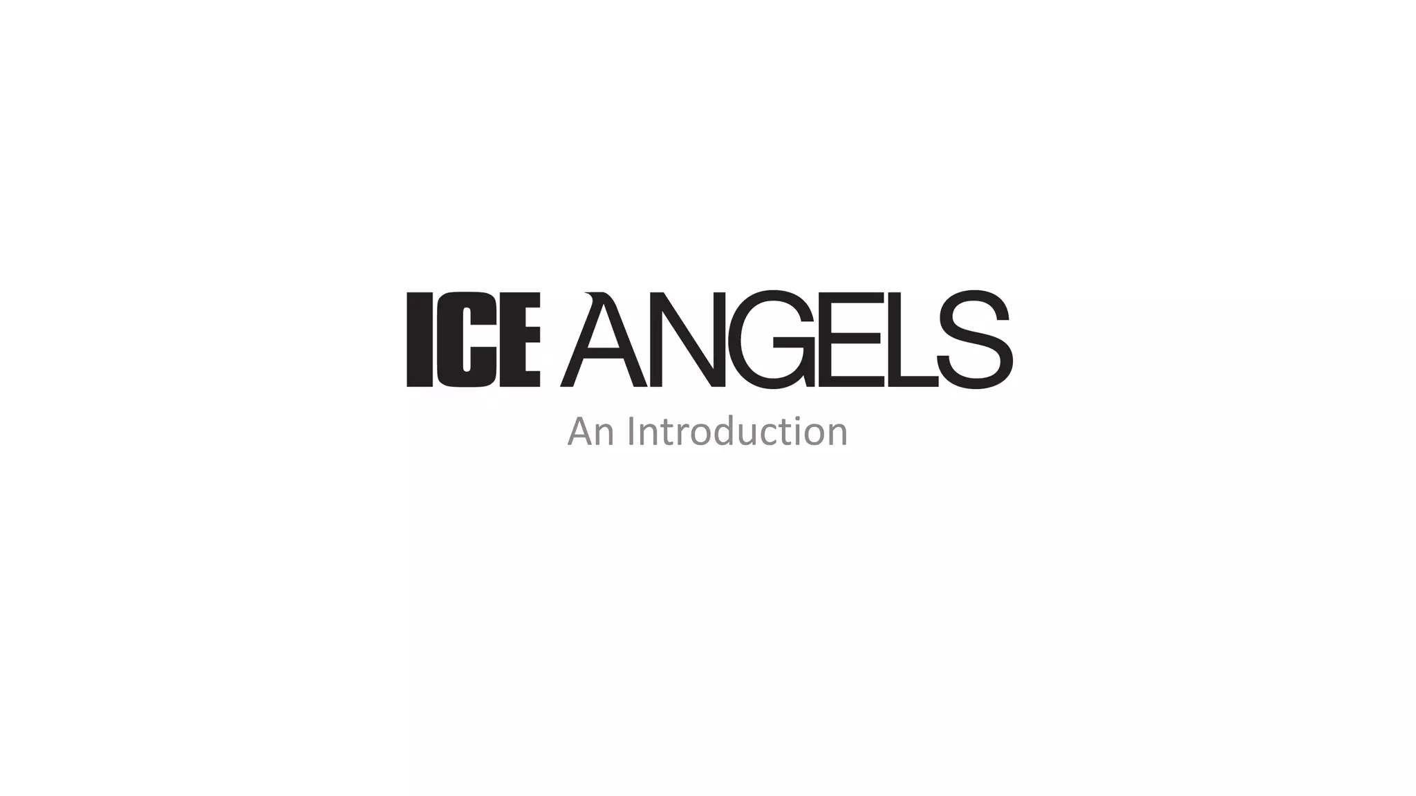 ICE Angels for Investors | PDF