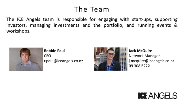 ICE Angels for Investors | PDF | Angel Investment | Business Banking ...