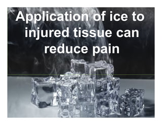 ice application (1).pdf