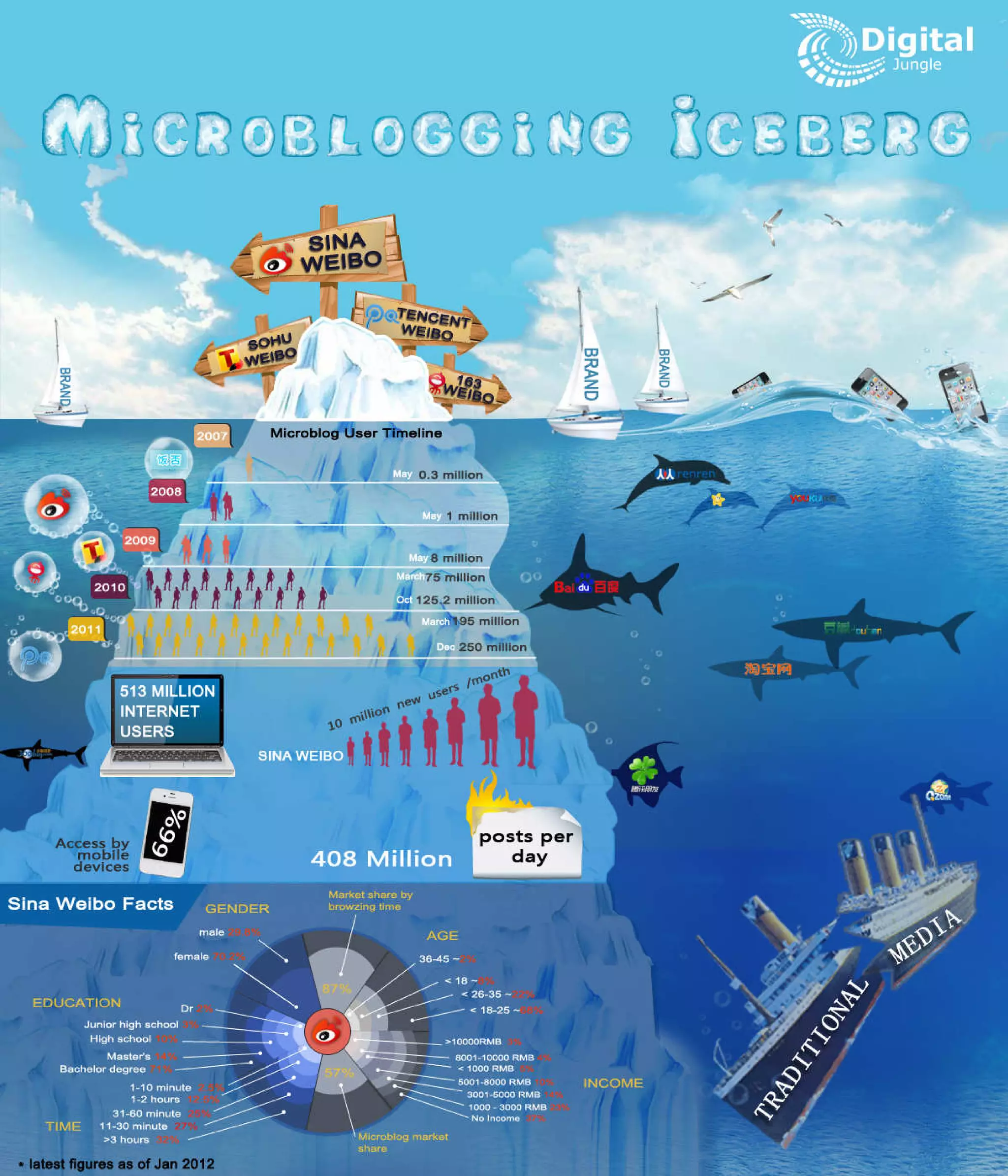 Chinese Microblog Infographic | PDF