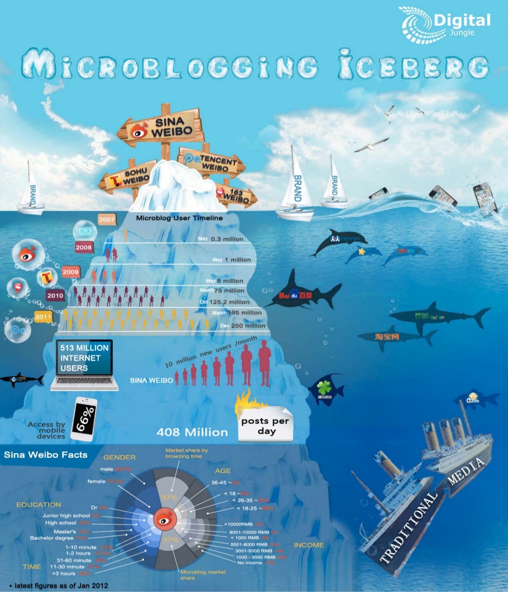 Chinese Microblog Infographic
