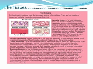 Medical Representative Book-Basics of medical science for ...