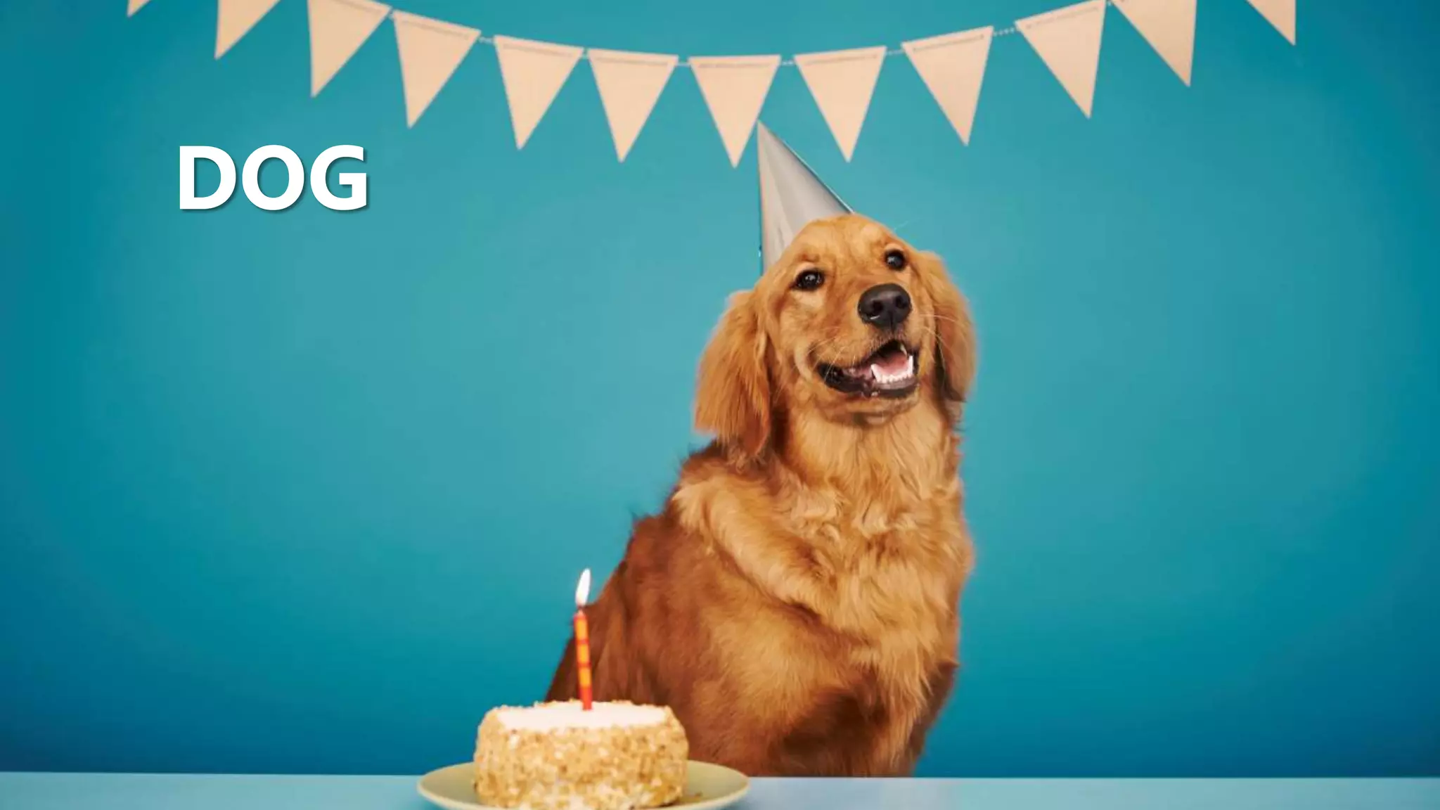 ICE Breaker - Guess the Picture.pptx