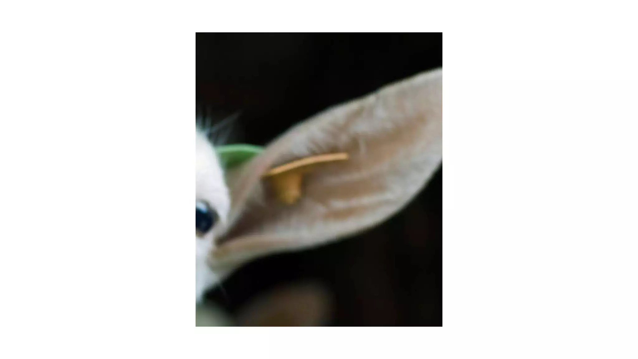 ICE Breaker - Guess the Picture.pptx