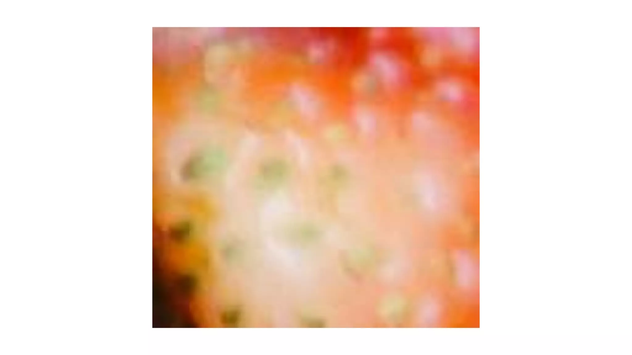 ICE Breaker - Guess the Picture.pptx