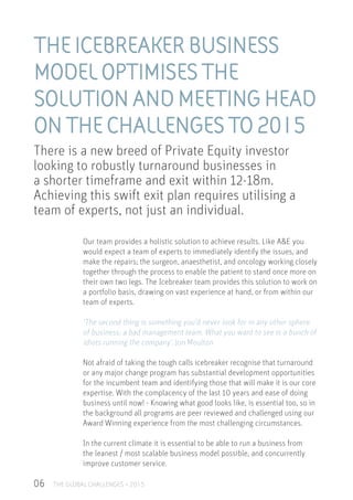 Icebreaker executive interim management governance | PDF