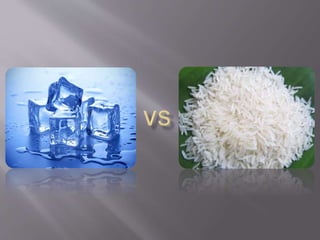 Ice bucket challenge VS Rice Bucket Challenge | PPT