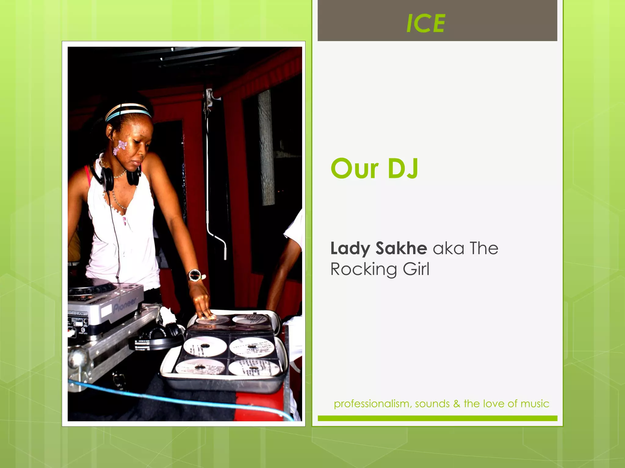 Ice company profile | PDF