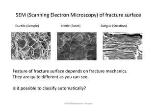Application of deep learning for automatic classification of fracture surface’s SEM image. | PDF