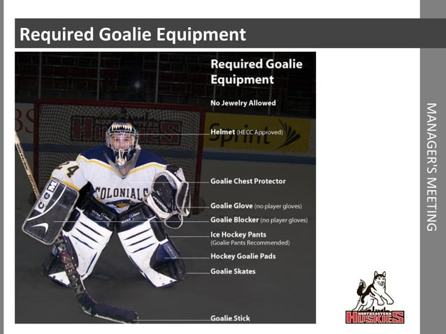 Ice Hockey Managers Ppt | PPT
