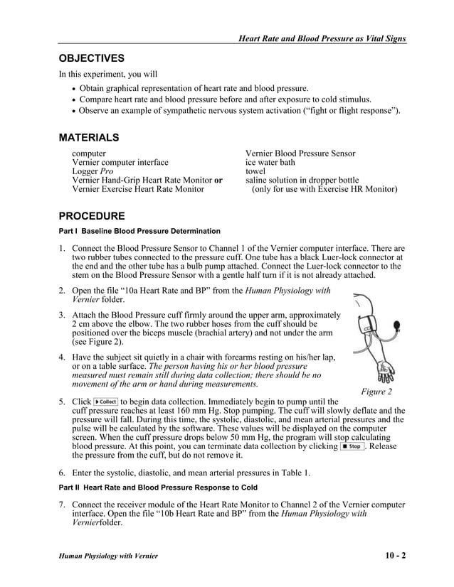 Ice lab anatomy | PDF