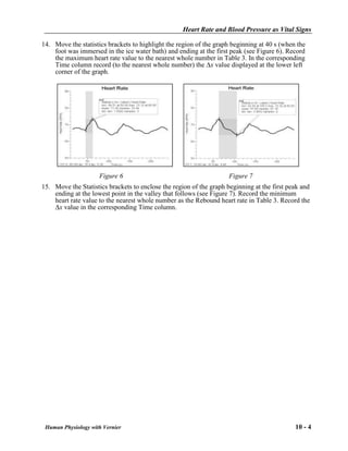 Ice lab anatomy | DOCX
