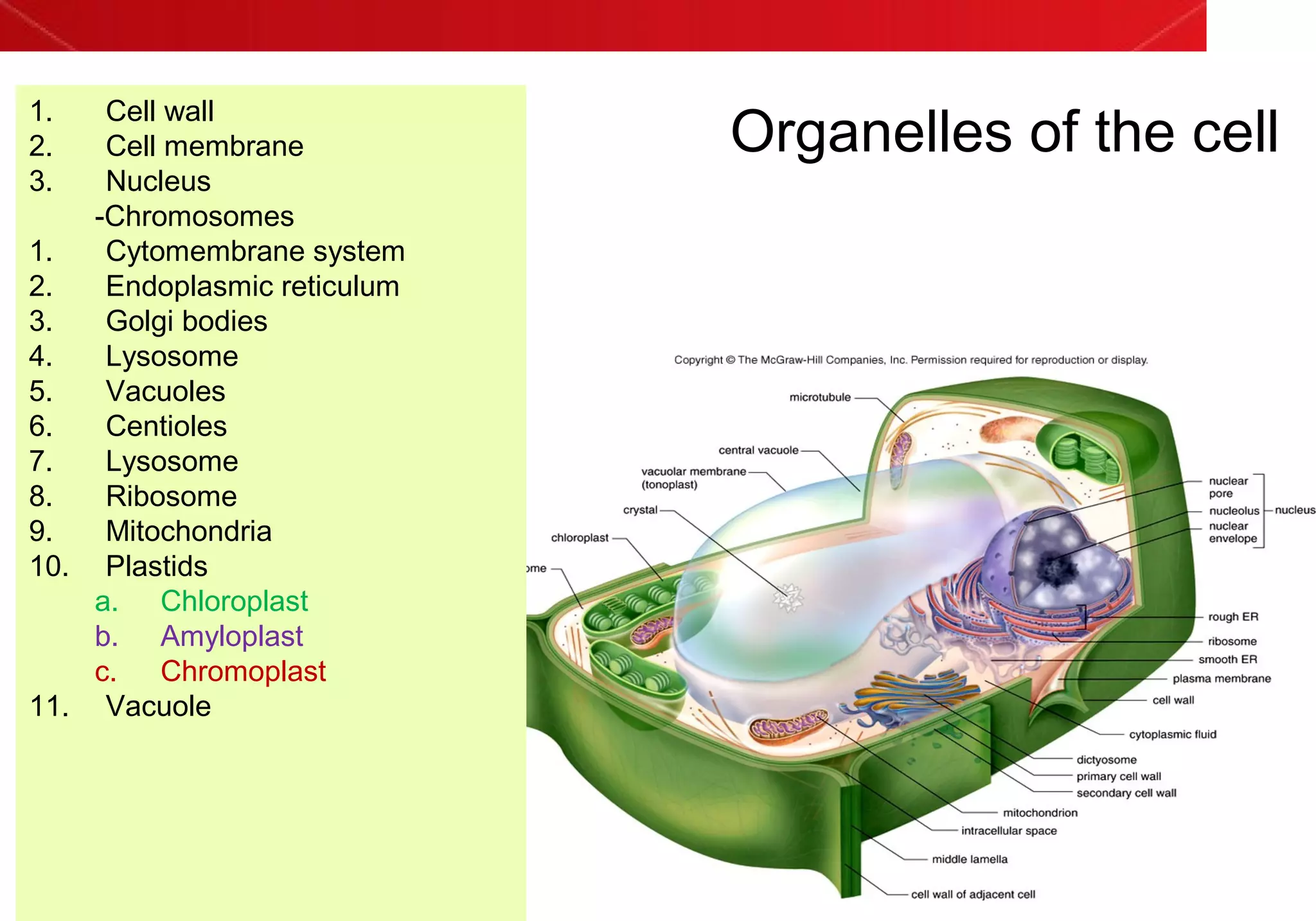 Ultra structure of cell | PPT