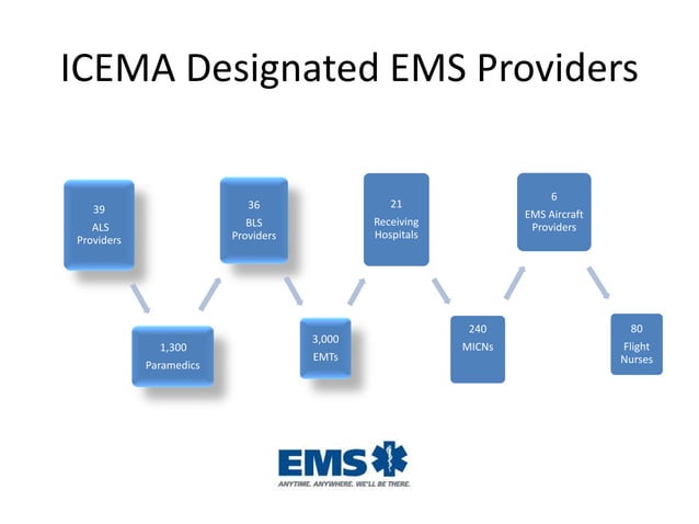 Icema overview our lemsa rev 5: 2019 | PDF | First Aid | Injuries