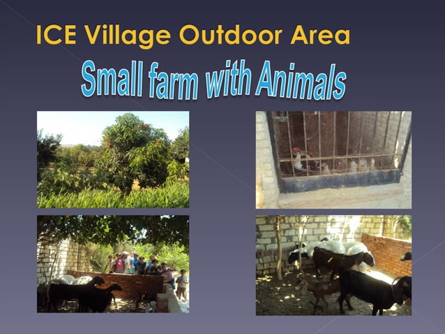 Ice nursery, preschool, american schools | PPT | Daycare and Pre-School ...